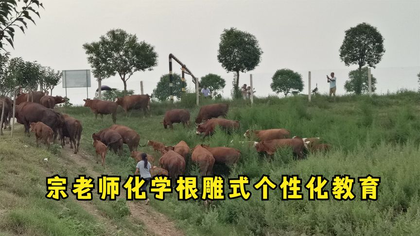 石油的分馏产物及其用途