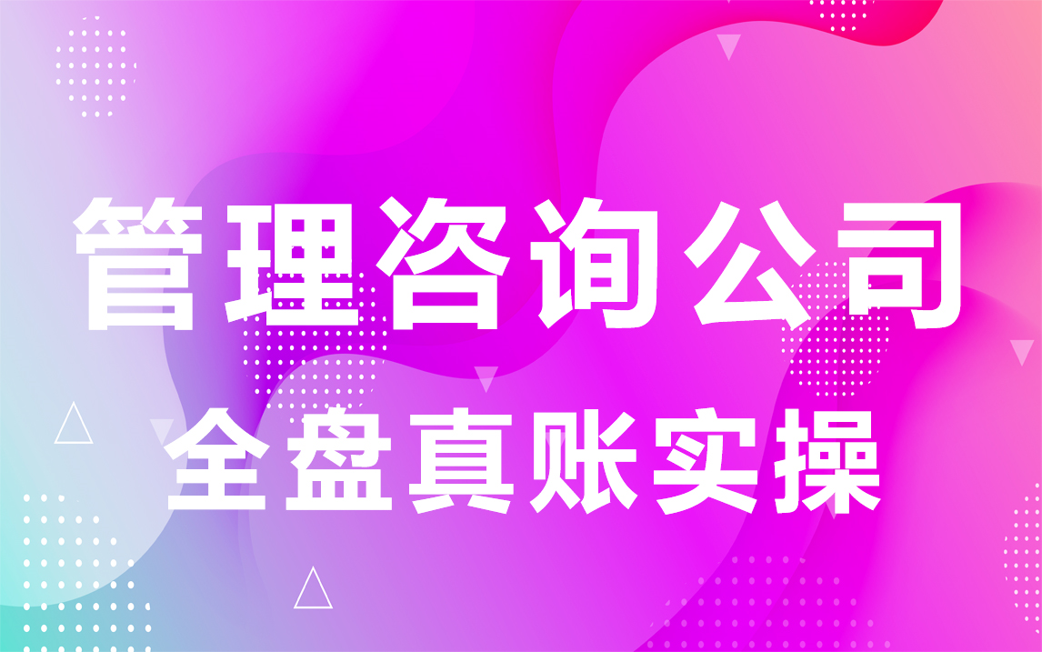 管理咨询公司日常账务处理全盘真账实操