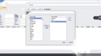 系统中列表字段名称的增加与调整