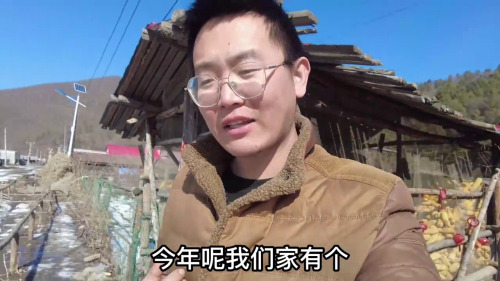 今年新计划打算养鸡,买个孵化器准备大干一场,你觉得这计划咋样