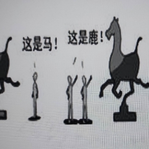 薄纱全场 