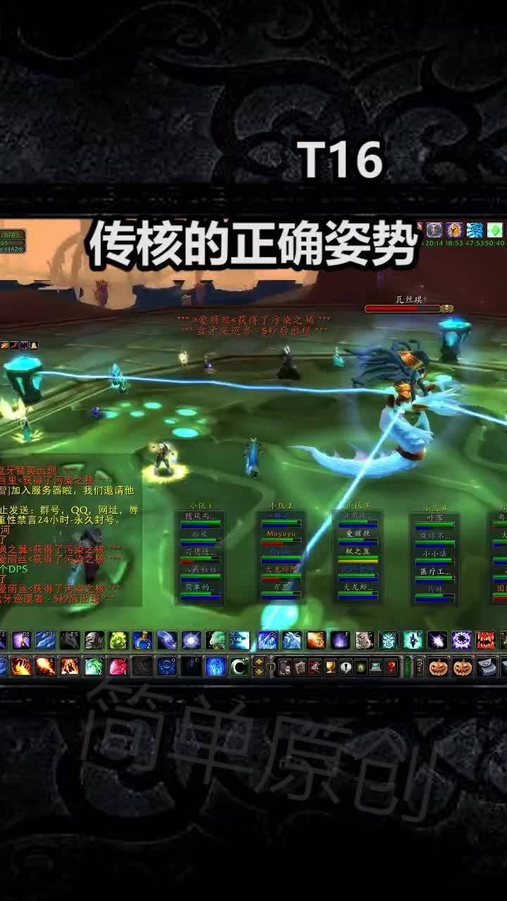 Tbc毒蛇神殿,瓦妹妹的核到底怎么穿的