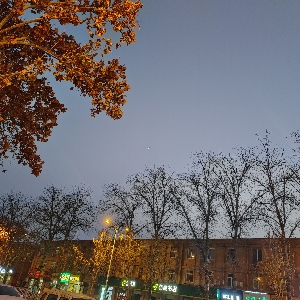 游戏千龄 