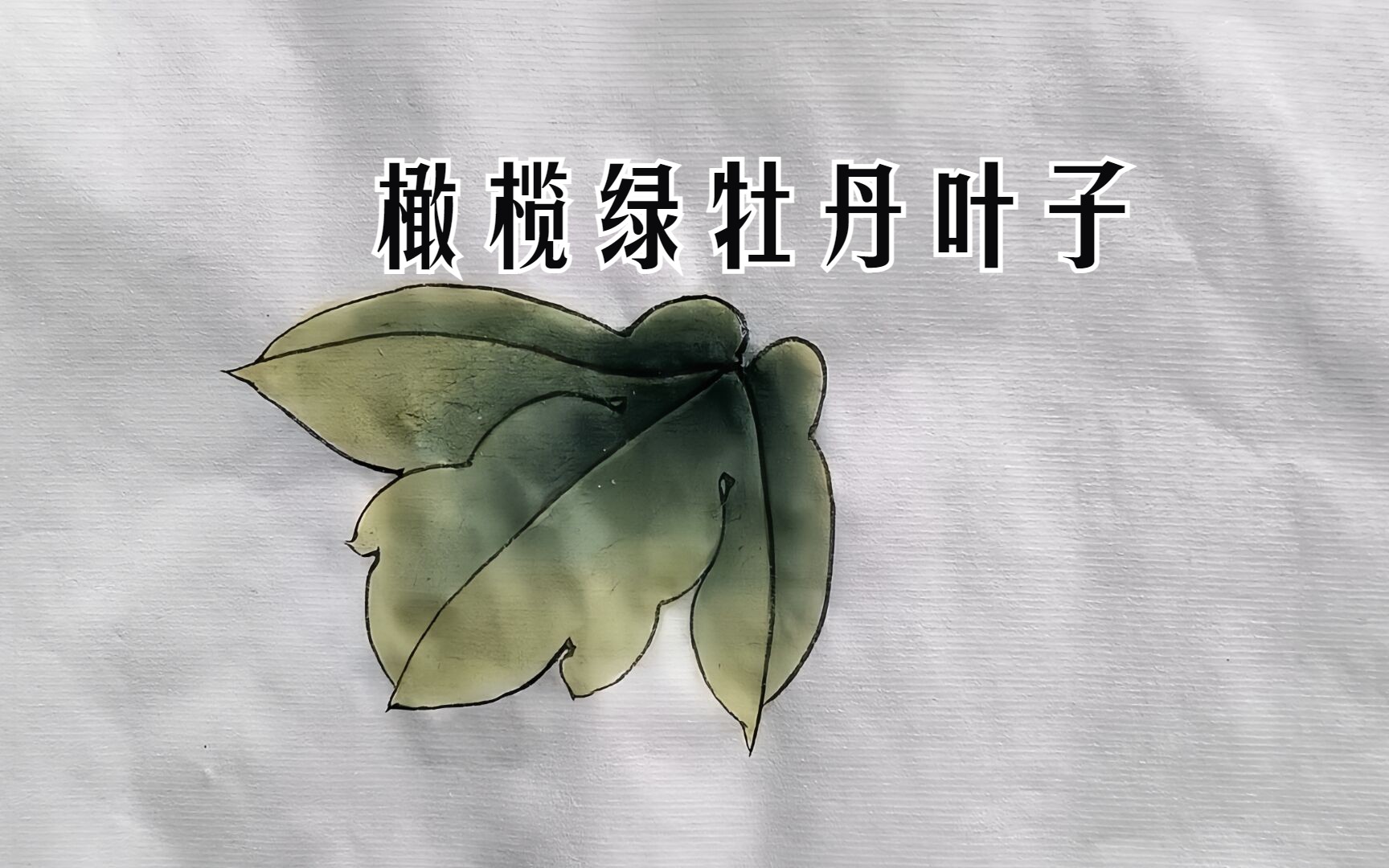 国画工笔橄榄绿牡丹叶子,画法步骤详解,把染色技巧和要点分享给大家