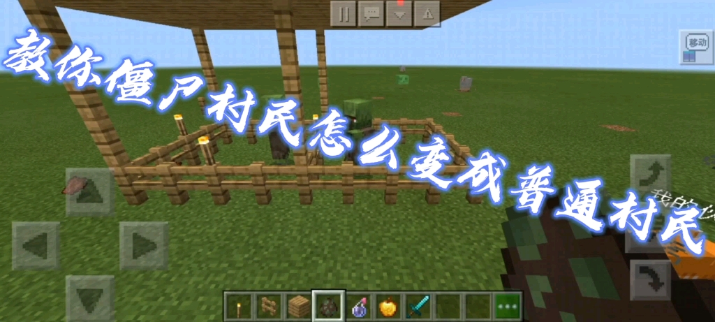 【黄梓】【我的世界】教小伙伴们怎么把僵尸变成村民