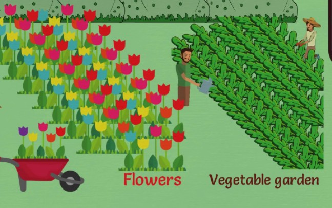 图解单词 农场 工具 畜牧 7ESL