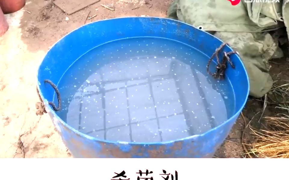 果树苗通过快递运输,这样处理后再打包,成活率可达95%%以上!