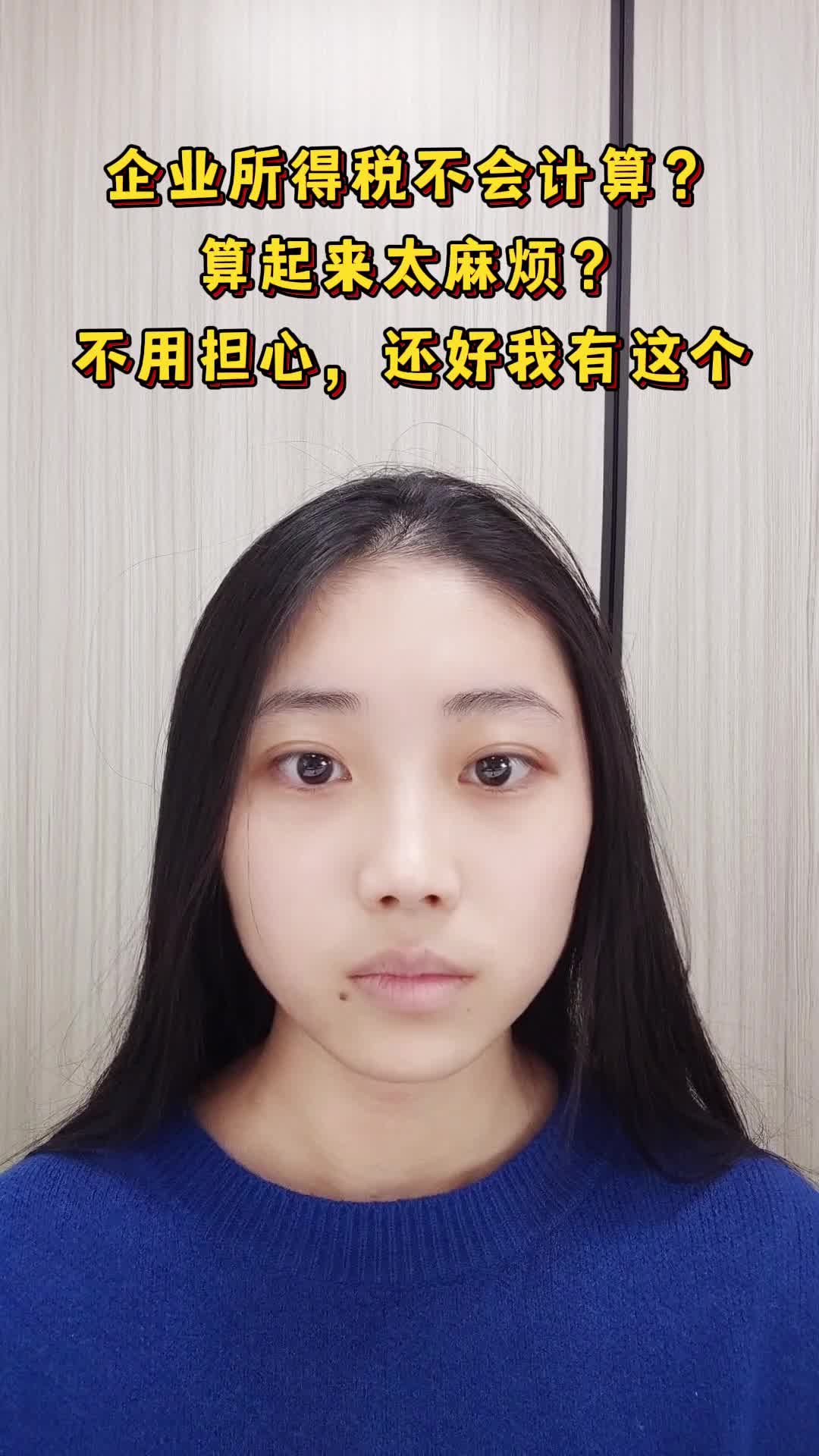 企业所得税简化版计算器