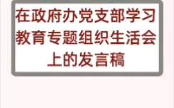 在政府办党支部学习教育专题组织生活会上的发言稿