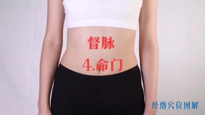 督脉之命门穴定位
