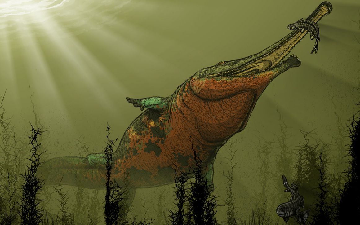 【鬼谷说】离片椎类两栖动物:我有特殊的生存技巧