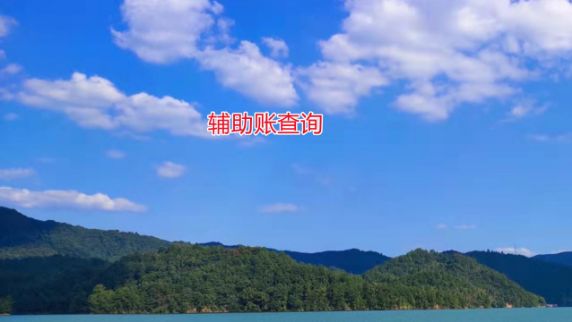 用友T+如何查询应收 应付款明细账?#会计实操 #财务