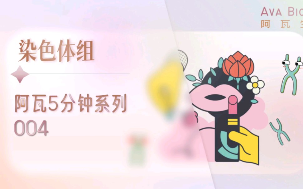 【高中生物】染色体组?5分钟学会,一起来数一数吧