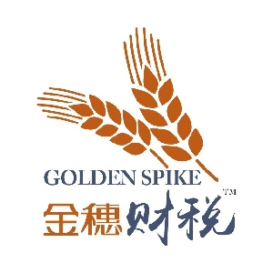 金穗财税 