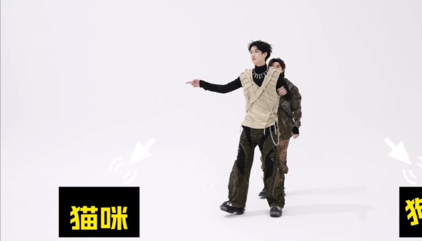 【严浩翔】250117 TF家族2025新年音乐会「热爱」--倒计时1天 严...