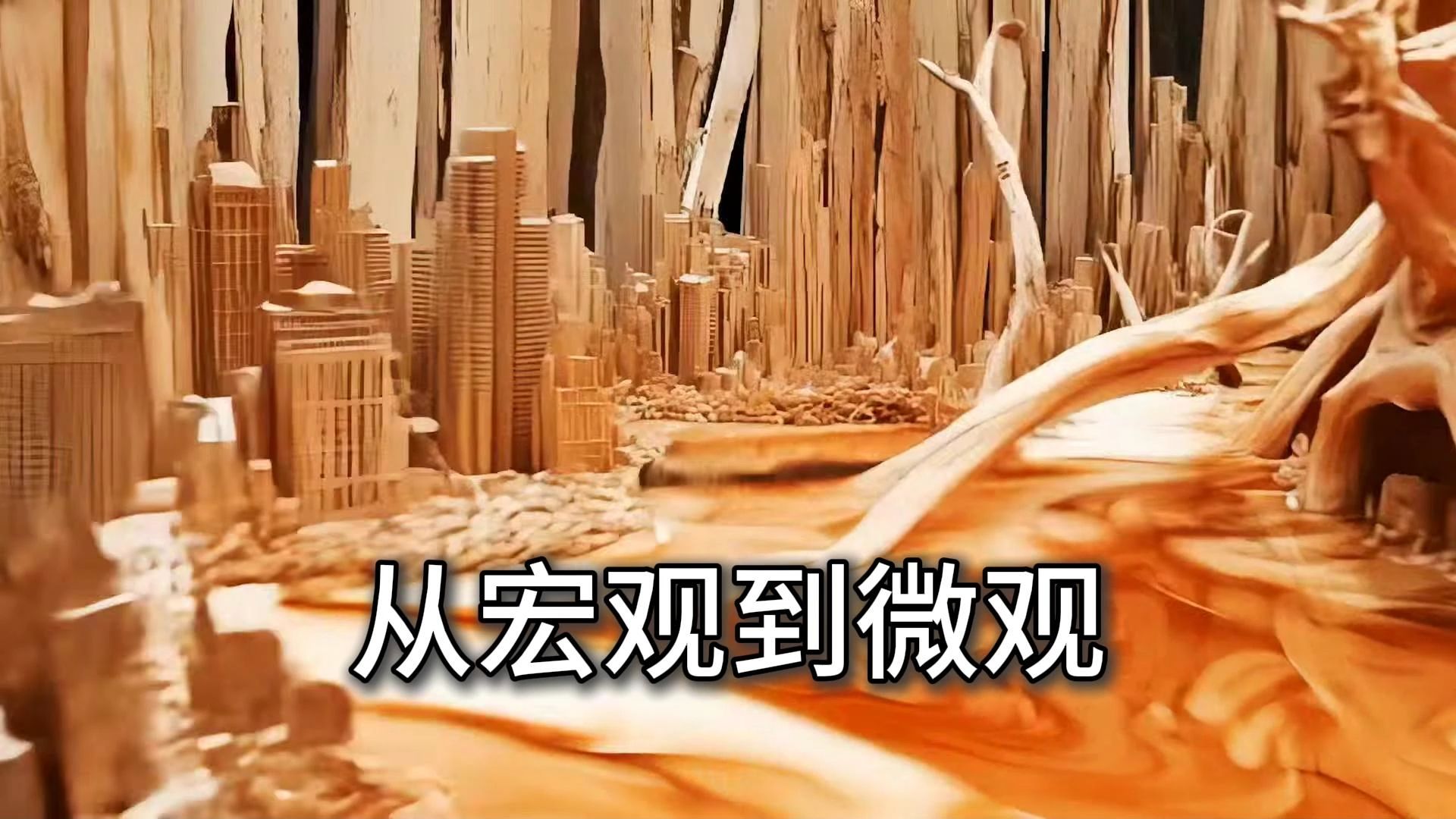 从宏观到微观