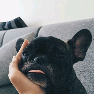 西海岸的火葬场 