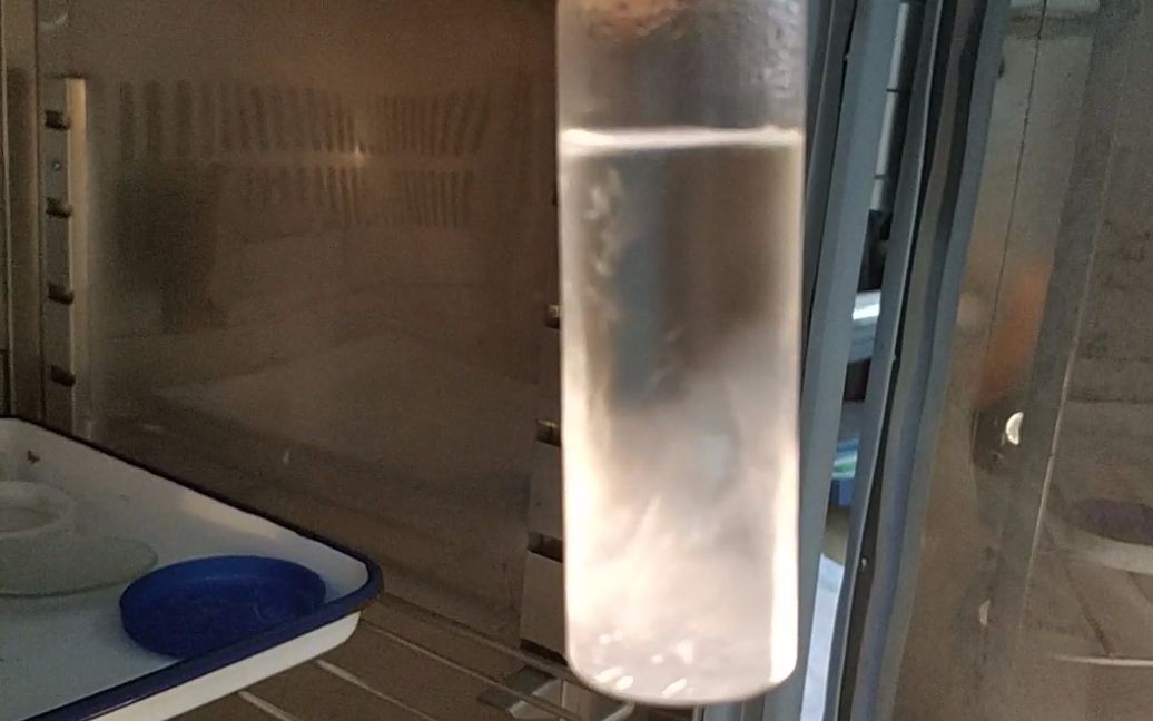 二狗实验室#第一期 风暴瓶/天气预报瓶到底是个啥