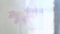湘教版四年级美术上册《蝴蝶落我家》董腊红_2015_12_31_15_47_...