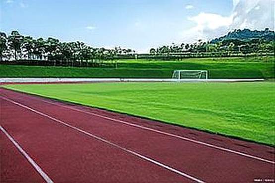 体育产业发展现状及存在问题都是什么呢?