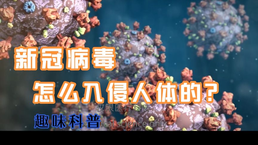 新冠病毒怎么入侵人体的?