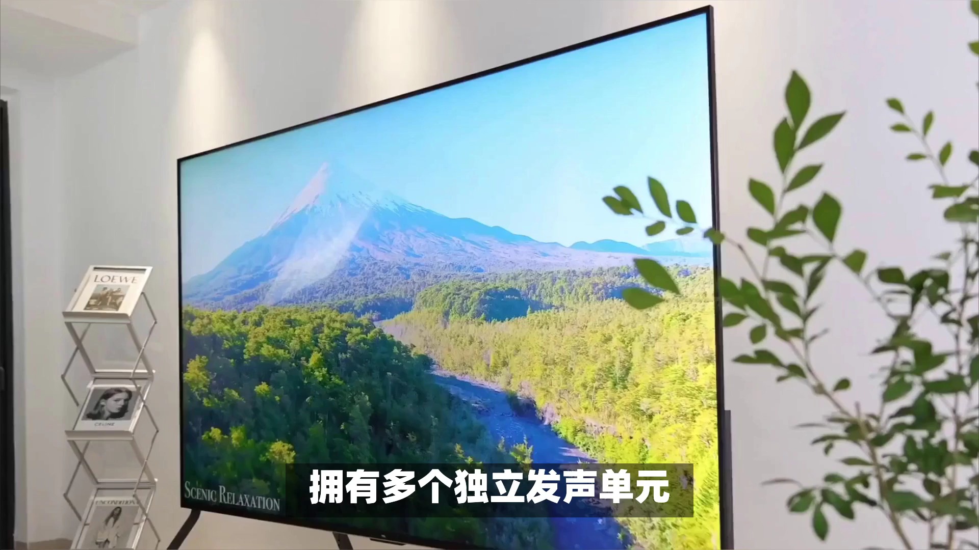 TCL电视65Q10H真实使用感受,避免上当