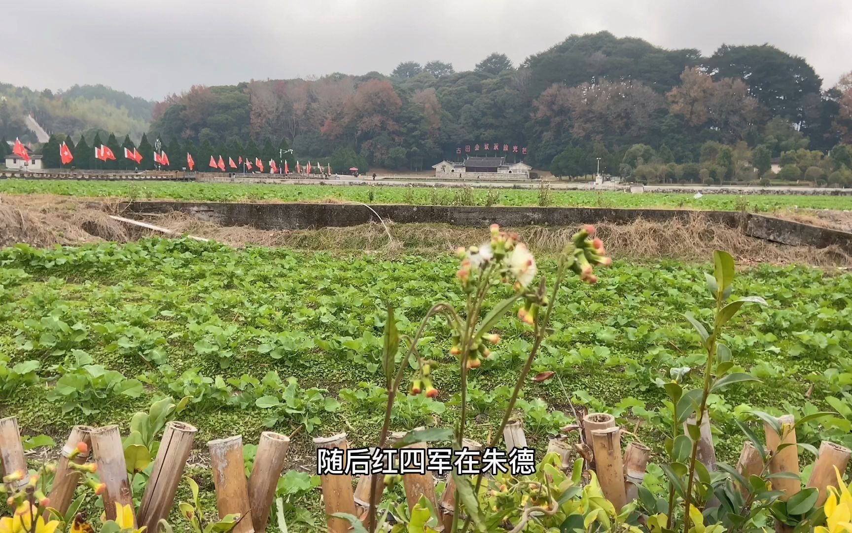 探访福建5A景区古田会议会址,身临其境感受当年的历史