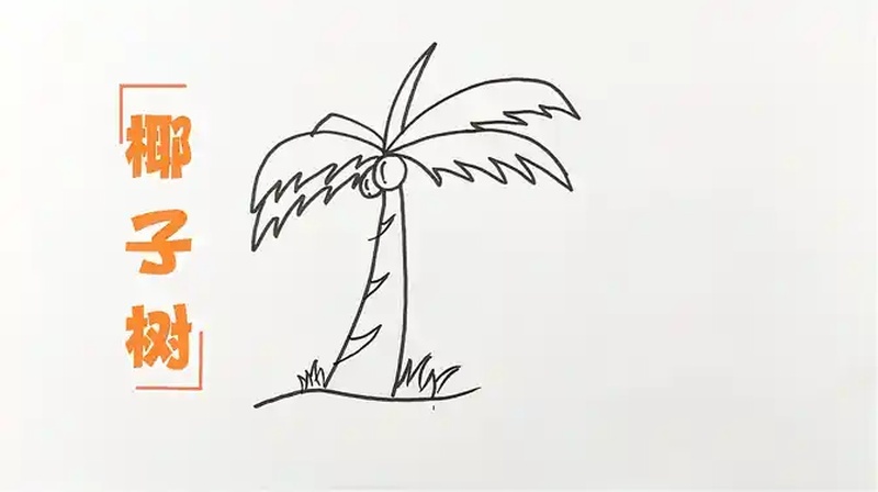 大树怎么画简单又好看,一棵大的椰子树怎么画