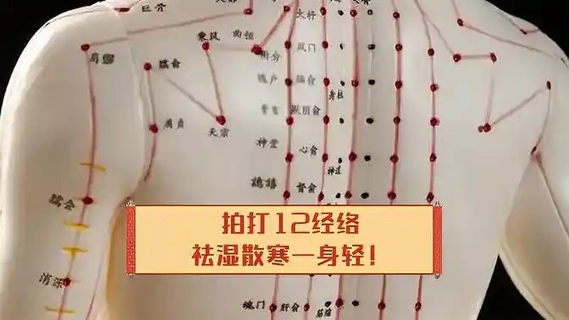 拍打12经络,祛湿散寒一身轻!