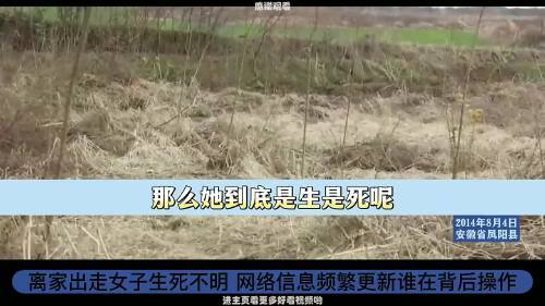 安徽省滁州市凤阳县《寻找小美》(11),真实案件记录,悬疑推