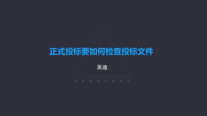 42.正式投标要如何检查投标文件