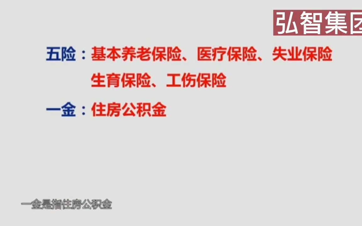 【会计小剧场】五险一金的计提—启东弘智教育