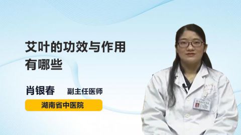 艾叶的功效与作用有哪些