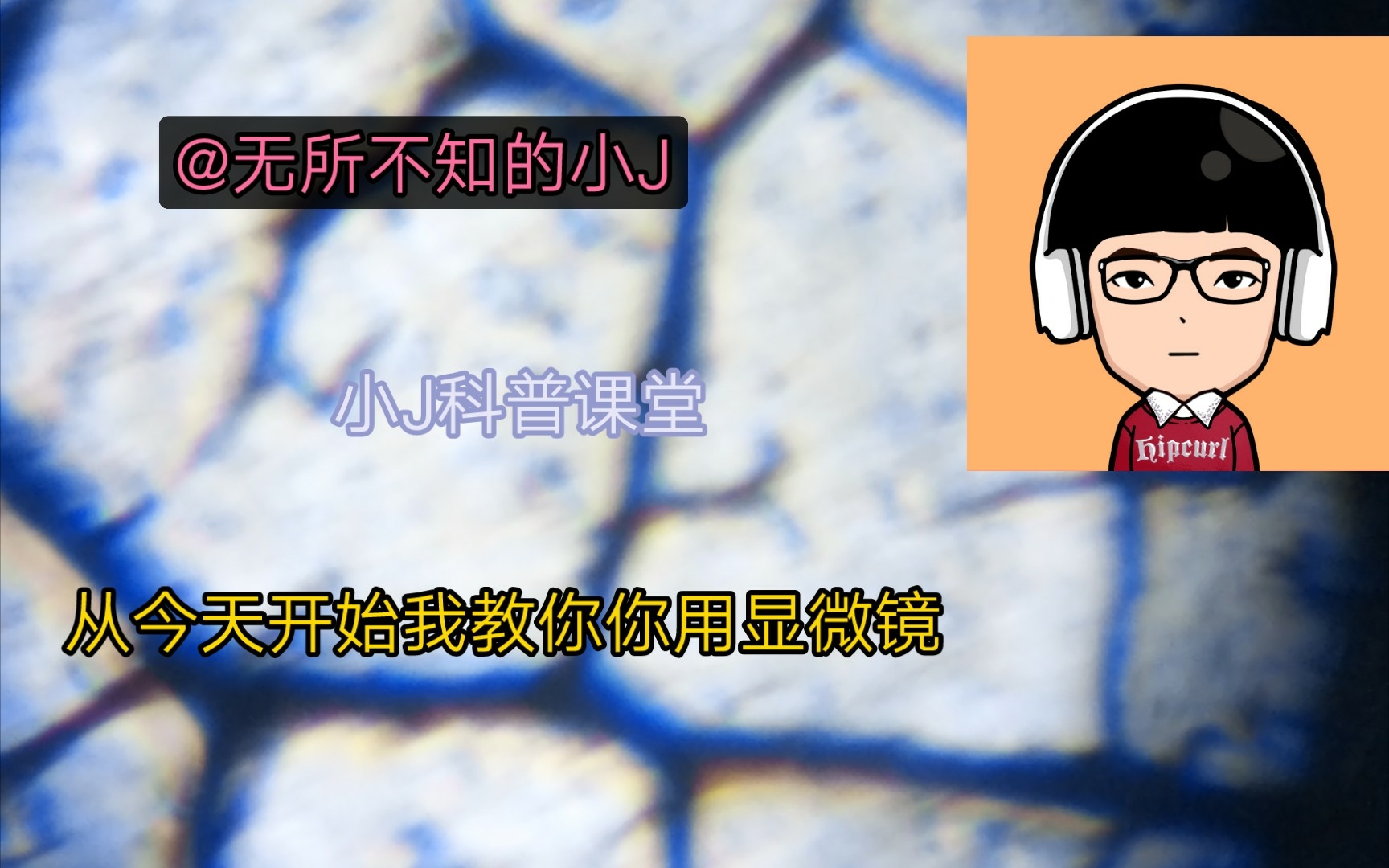 [小J科普课堂]今天我手把手教你使用显微镜