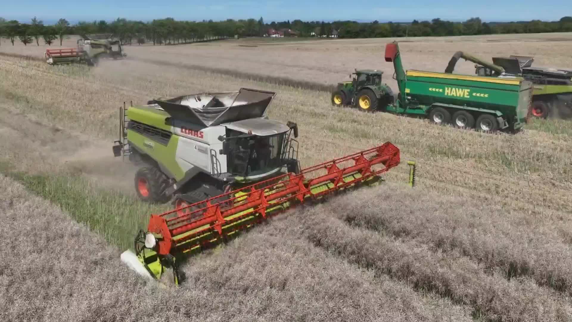 澳大利亚收油菜籽#农机 #农业 #三农 #农业机械