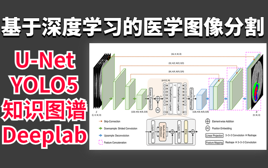 AI+医疗:基于深度学习的医学图像分割算法实战教程!U-Net、YOLO5、...