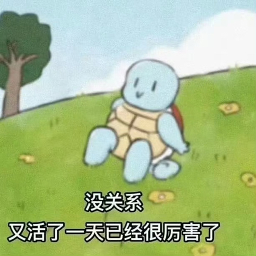 苏宛念hcy 