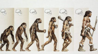 人类真的是猿人进化而来吗?人类诞生有这几个必要条件!