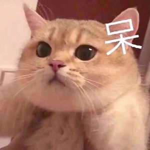 给云叔留点面子 