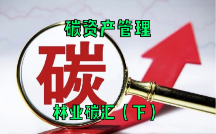 碳交易、碳核查、碳排放、ccer:林业碳汇(下)