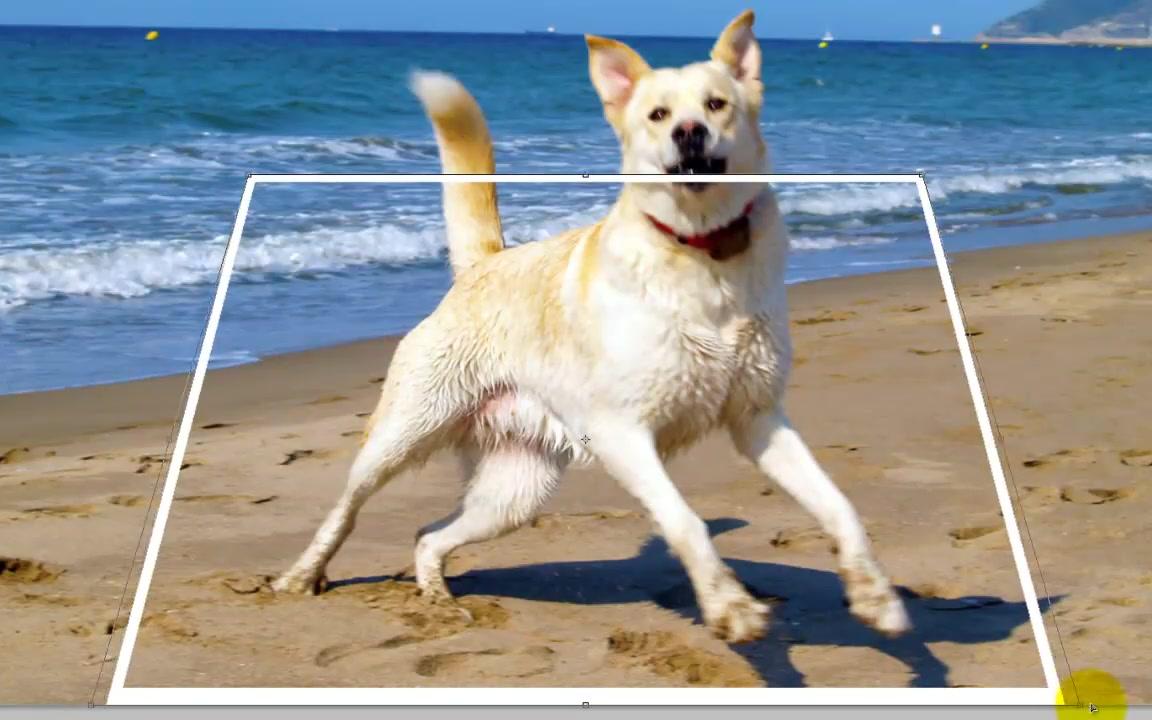 【PS教程】How to Make a 3D, Pop-Out Photo Effect(如何制作3D弹...