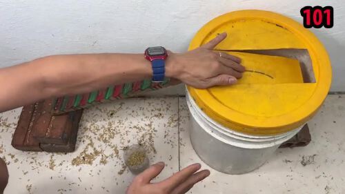 用水桶和桶盖子做成的捕鼠器,抓了一个联队!