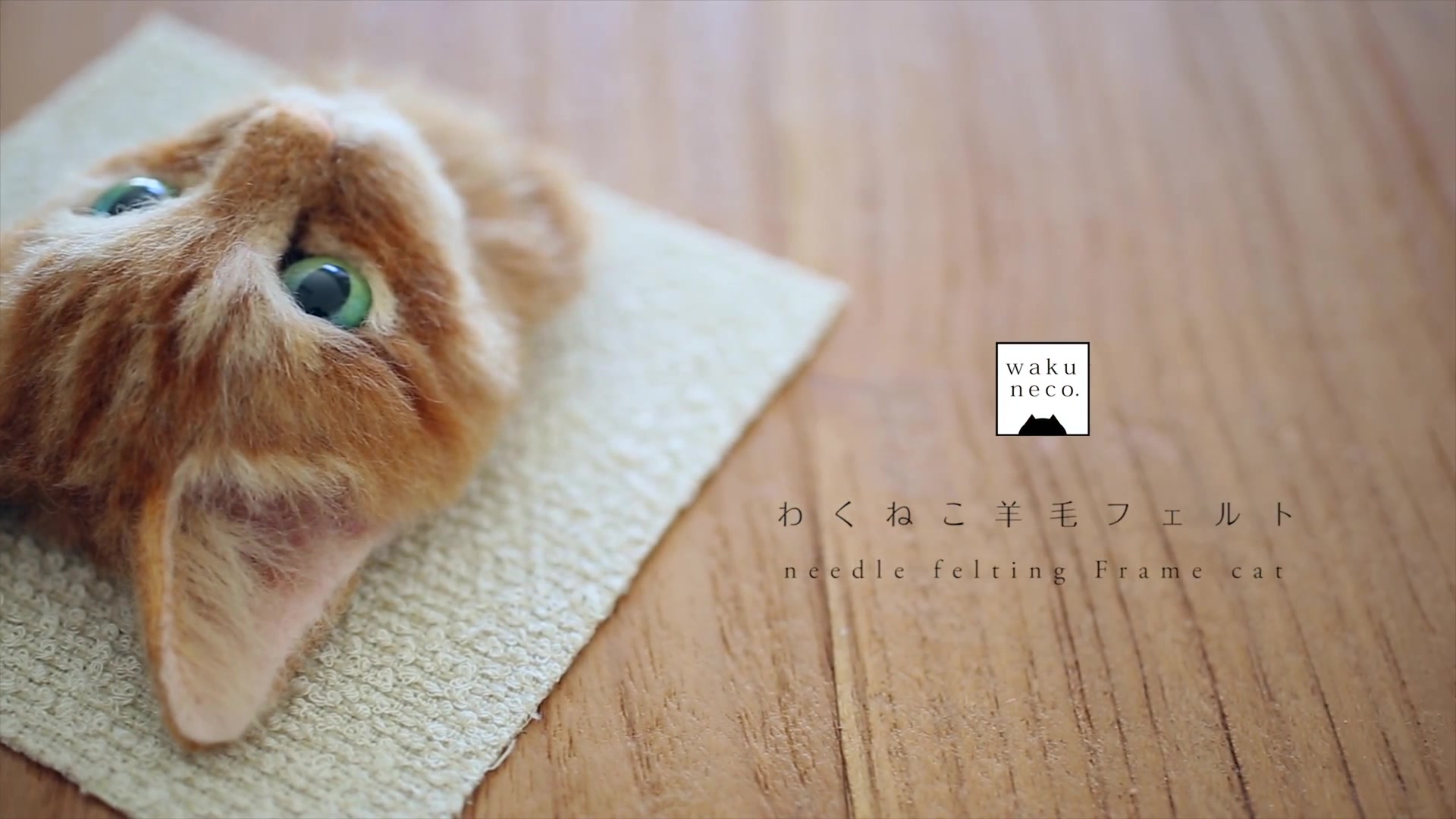 【羊毛毡植毛】猫咪植毛进阶教程