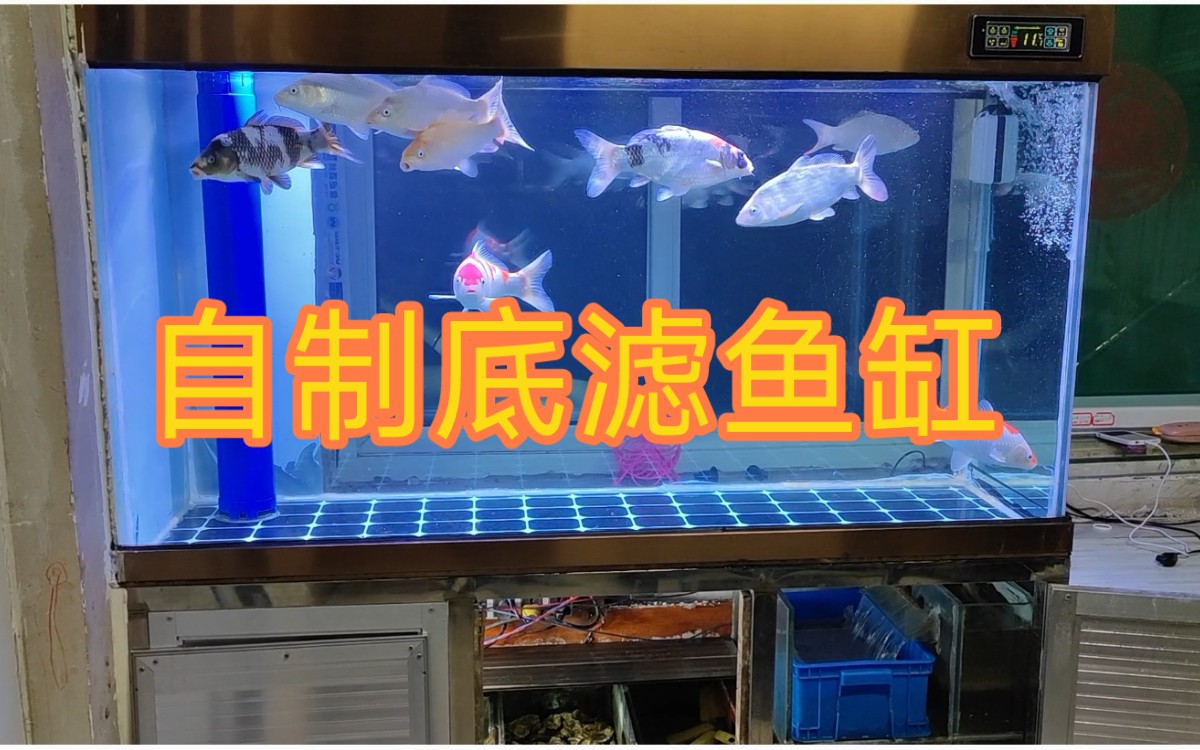 自制底滤鱼缸,水清鱼靓 轻松养鱼