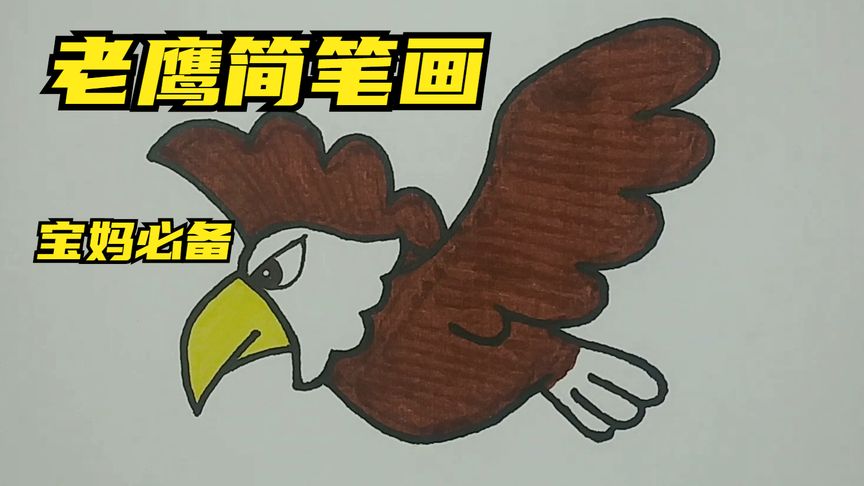 老鹰简笔画，老鹰怎么画？儿童简笔画老鹰画法，宝妈必备