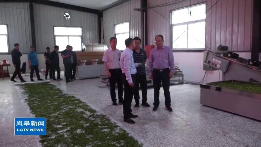 佐龙镇:村办企业助力集体经济发展