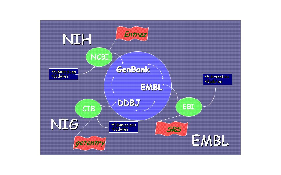 NCBI Gene和GenBank使用[生物信息学]