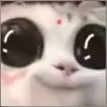 柳清风于明月 