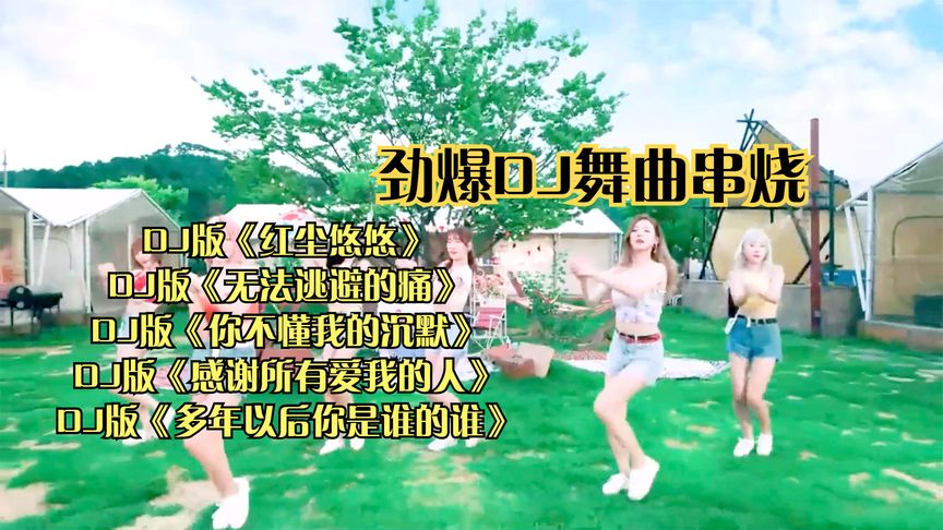 劲爆DJ舞曲串烧 火爆全网歌曲DJ版串烧