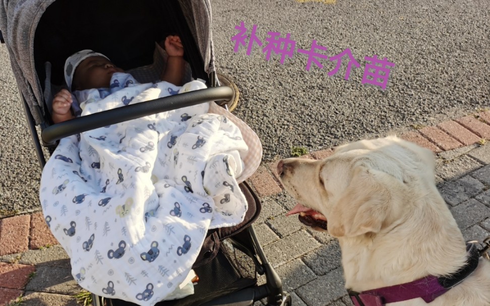 快三个月了才去补种卡介苗,抽血很勇敢,打针还是哭了